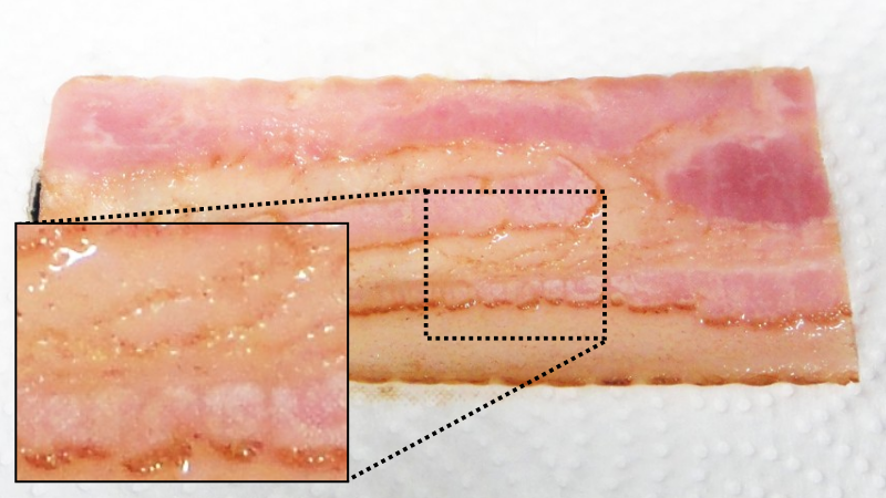 Laser Cooking | Fukuchi Lab.